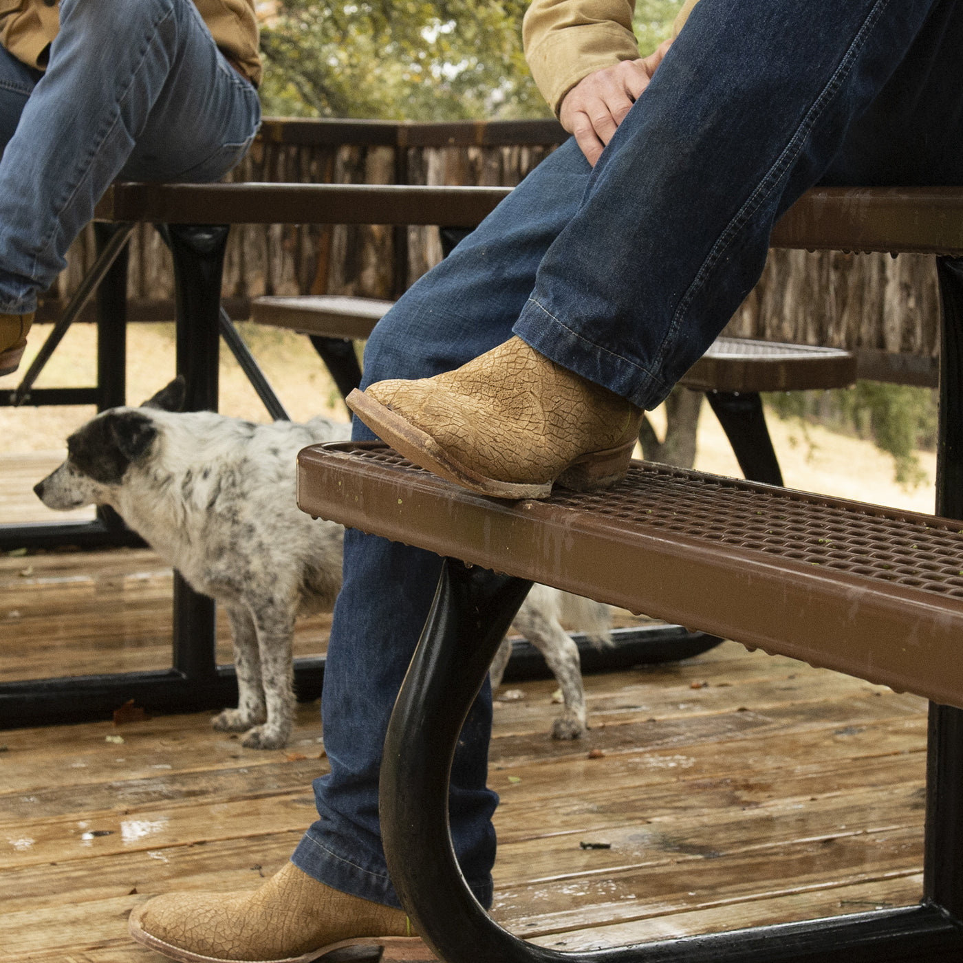 Cimarron African Hippo Mens Cowboy Boot in Honey